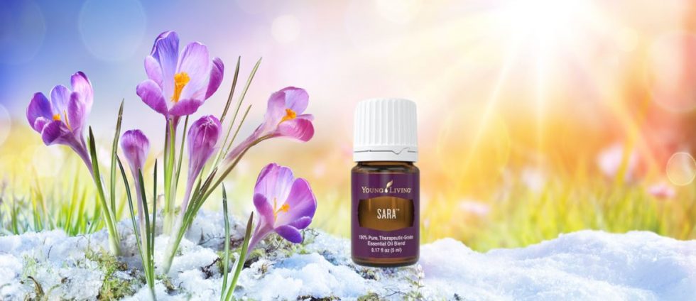 Featured Oil: SARA - Oils On